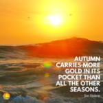 5 Autumn Beach Quotes That Are Golden - Williamson Realty Vacations